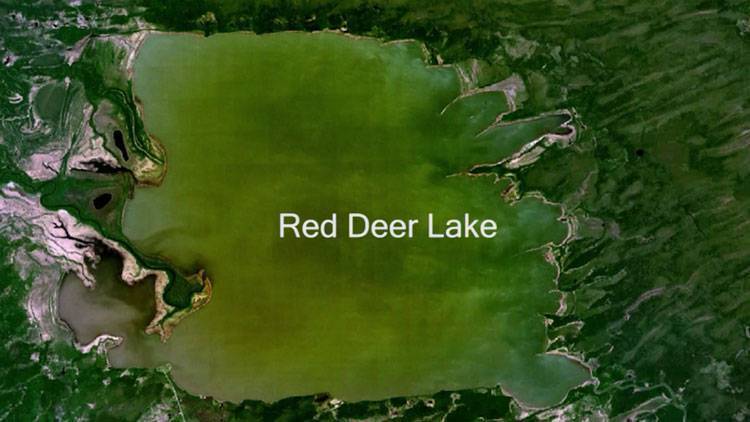 Black Bear Hunts :: Steeprock River Outfitters :: Manitoba Canada